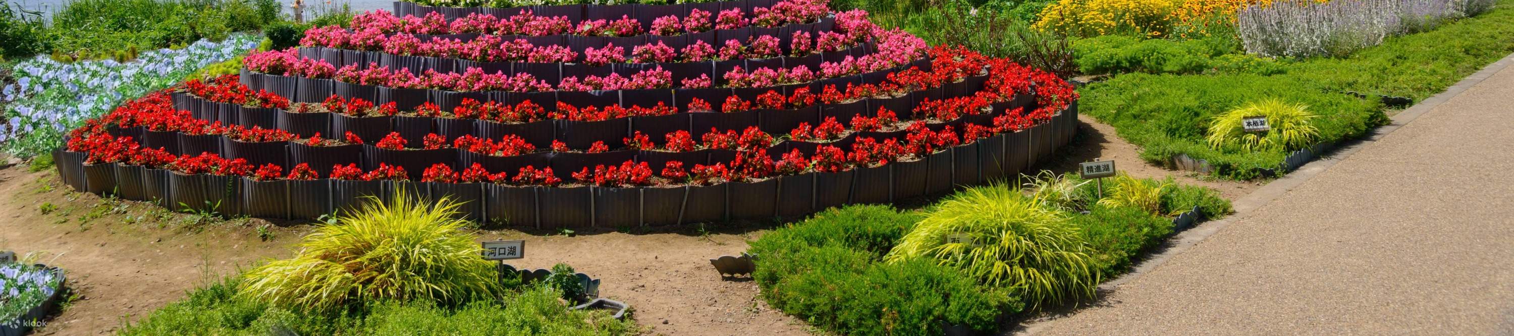 [One-day tour to Mount Fuji with popular scenic spots] Kubota Itchiku ...